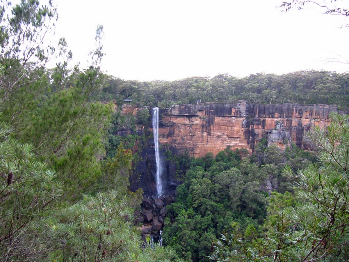 Fitzroy Falls, NSW: Opening hours, park fees, walks and visitor tips