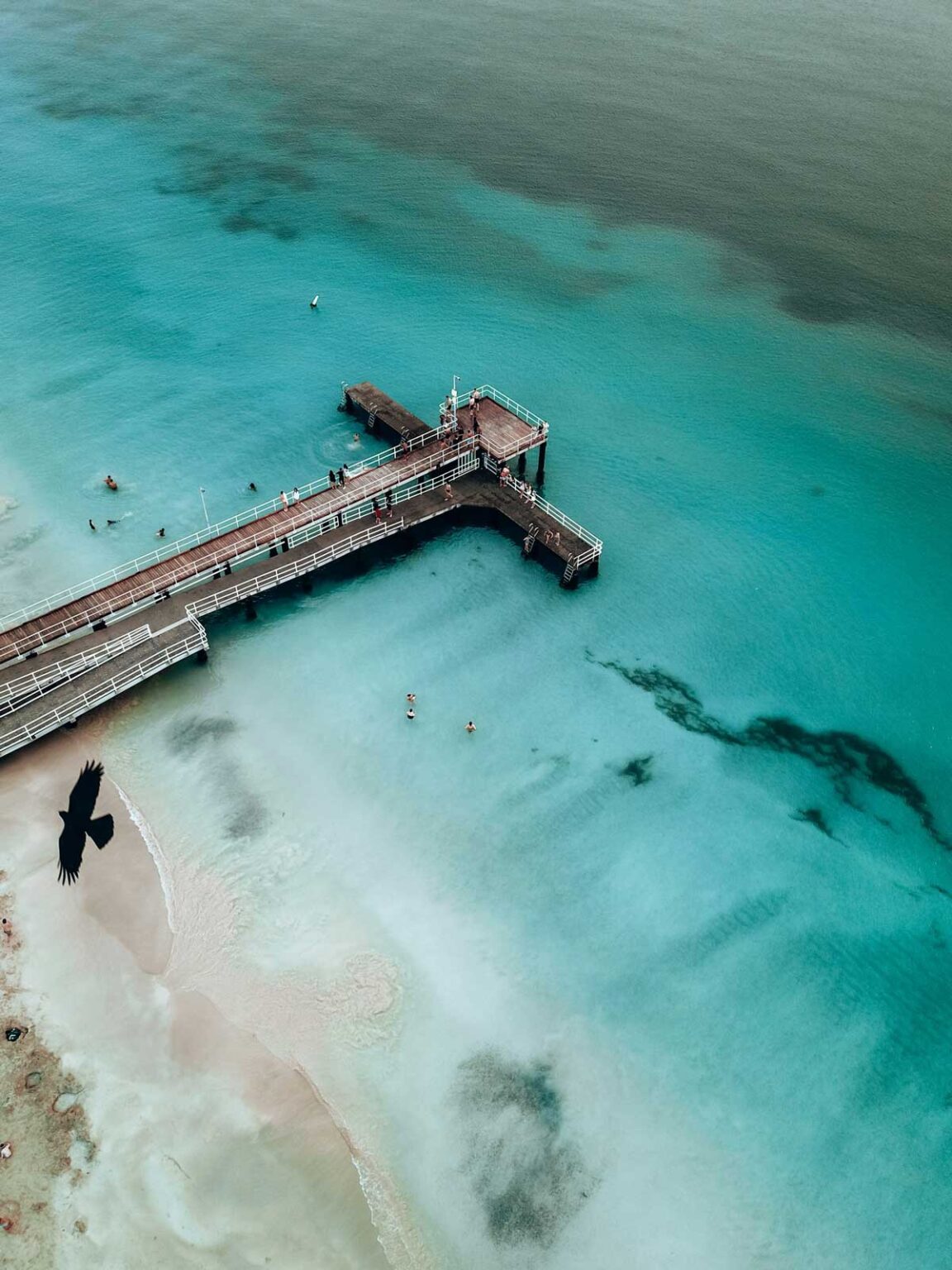 Guide to Coogee Beach, Perth: Snorkelling trail, safety & wildlife