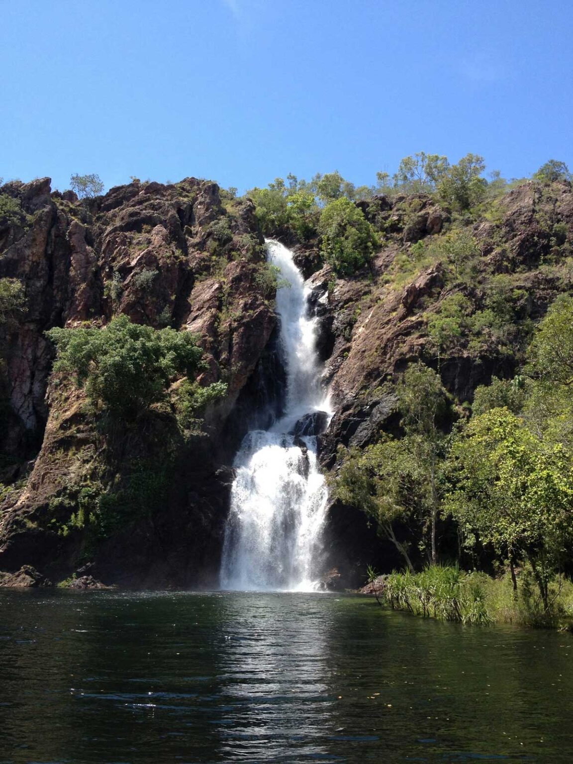 Wangi Falls visitor guide, 2026: Litchfield park fees, swimming safety ...