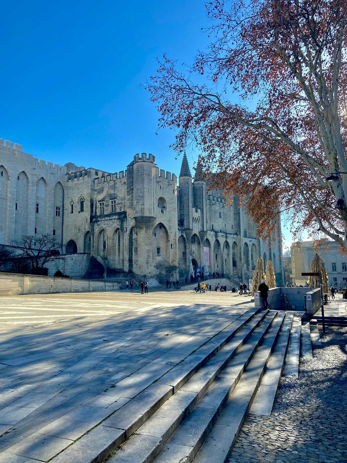 Visiting the Palais des Papes, Avignon: Guide with ticket prices, hours ...